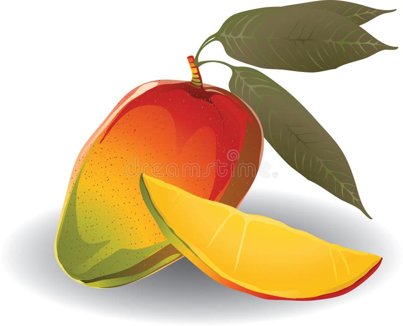 Mangue Stock Illustrations, Vecteurs, & Clipart – (28,082 Stock ...