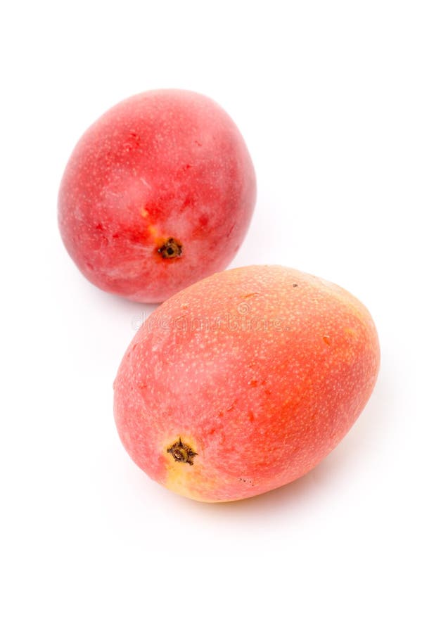 Mangue photo stock. Image du fruits, manger, fond, vivacité - 2841550
