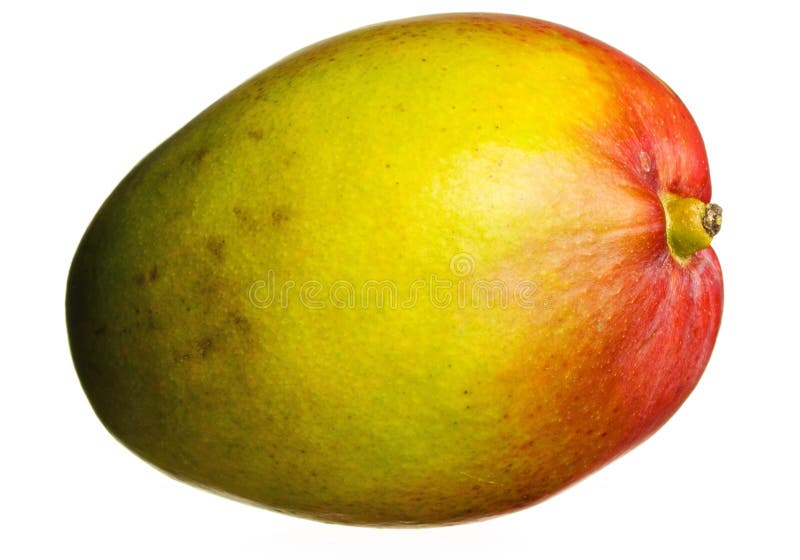 Mangue photo stock. Image du gourmet, tropical, simple - 5176174