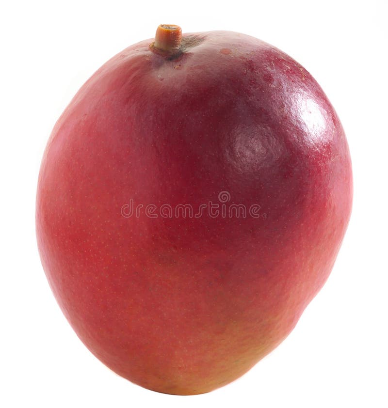 Mangue photo stock. Image du autonome, fruits, nourriture - 7675338