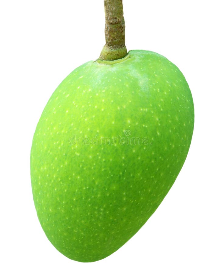 Mangue Verte Sur Le Fond Blanc Photo stock - Image du isolement, manger ...