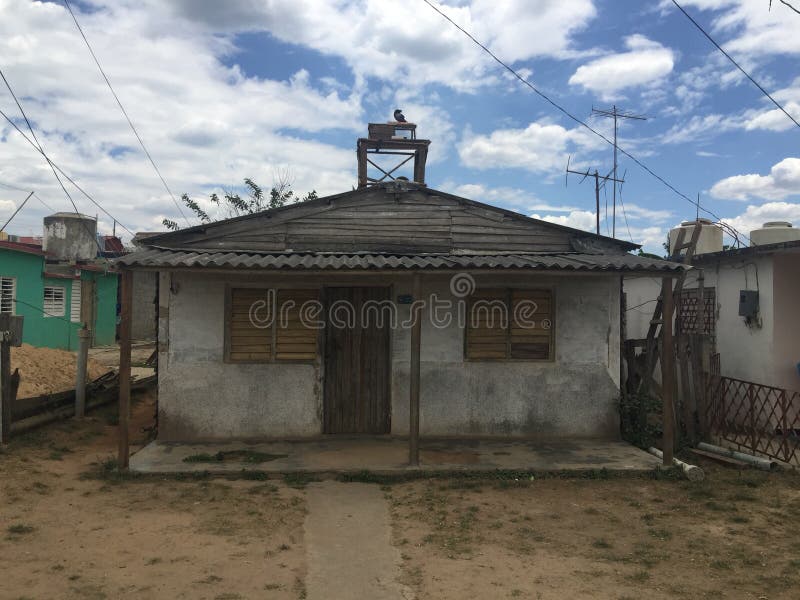 Manguito imagen de archivo. Imagen de manguito, cuba - 107110815