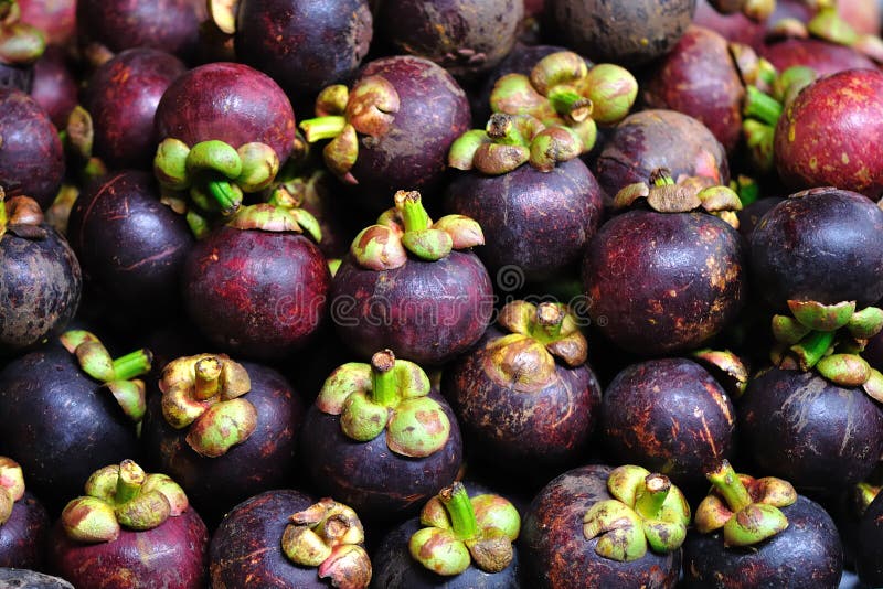 Mangustão fresco imagem de stock. Imagem de suculento - 34074359