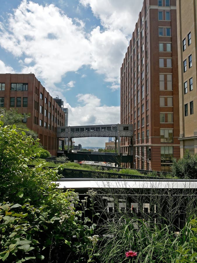 Manhattan Perspective: a View from the High Line Stock Photo - Image of ...