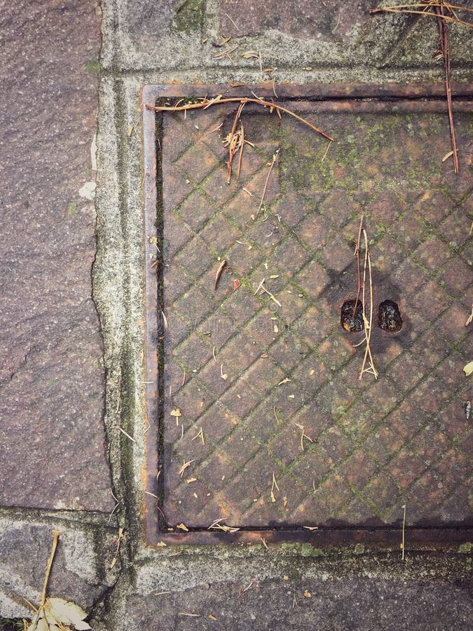 Manhole top view stock image. Image of grass, painted - 197794785