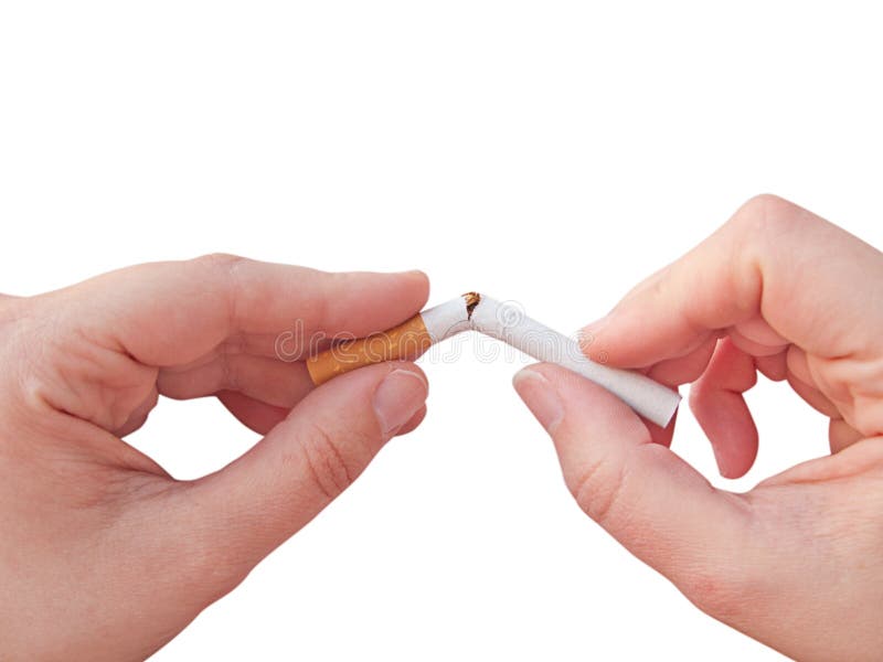 Mani Che Tagliato Una Sigaretta Immagine Stock - Immagine di droga ... Mani Che Tagliato Una Sigaretta Immagine Stock - Immagine di droga ...