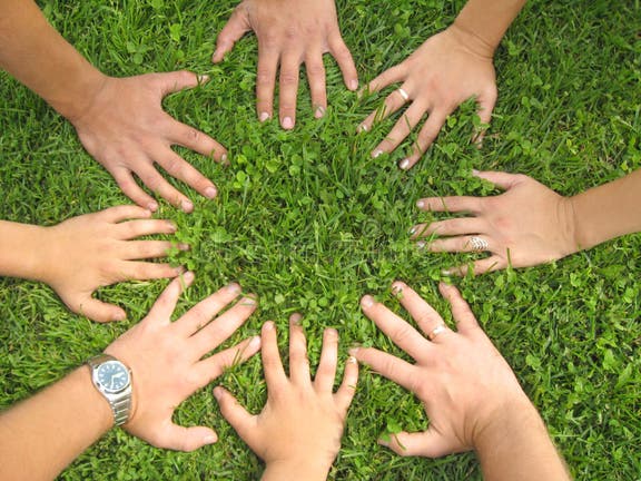 Mani giunte fotografia stock. Immagine di madre, ecologia - 6091712