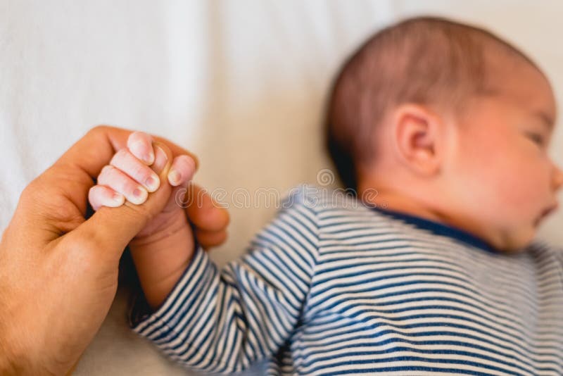 Piccole mani e grandi mani immagine stock. Immagine di piccolo - 53581209