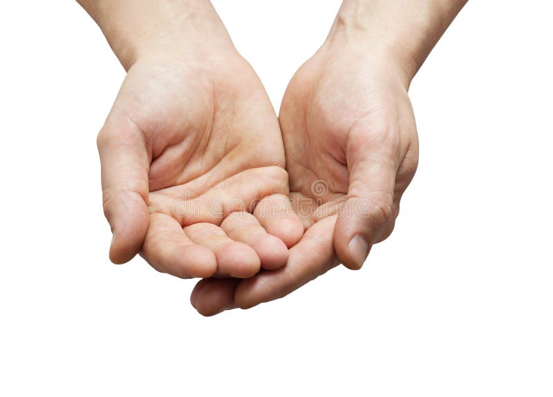 Mani umane con un fiore fotografia stock. Immagine di regalo - 51368702