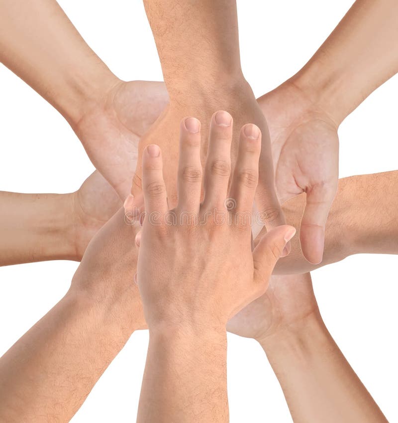 Mani Unite Isolate Su Concettuale Bianco Fotografia Stock - Immagine di ...
