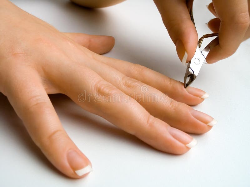 Manicure on female hands stock photo. Image of beauty - 17445398