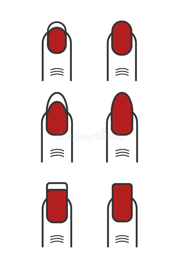 Different Nail Shapes and Polish Colors Vector Icons Stock Vector ...
