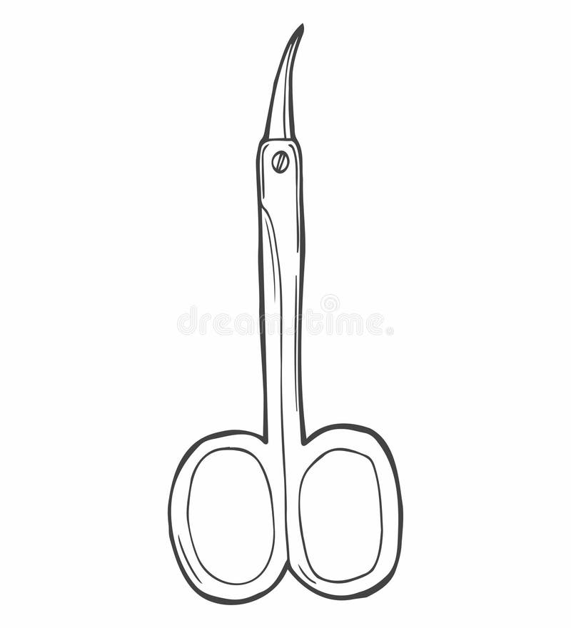 Manicure Scissors Vector Illustration, Hand Drawing Doodle Stock Vector ...