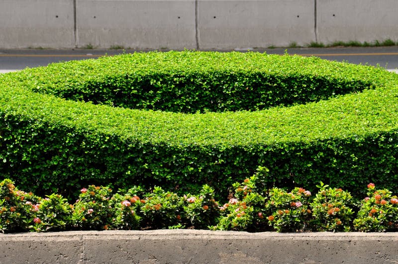 Manicured Hedges in Wave Shape Stock Image - Image of double, border ...