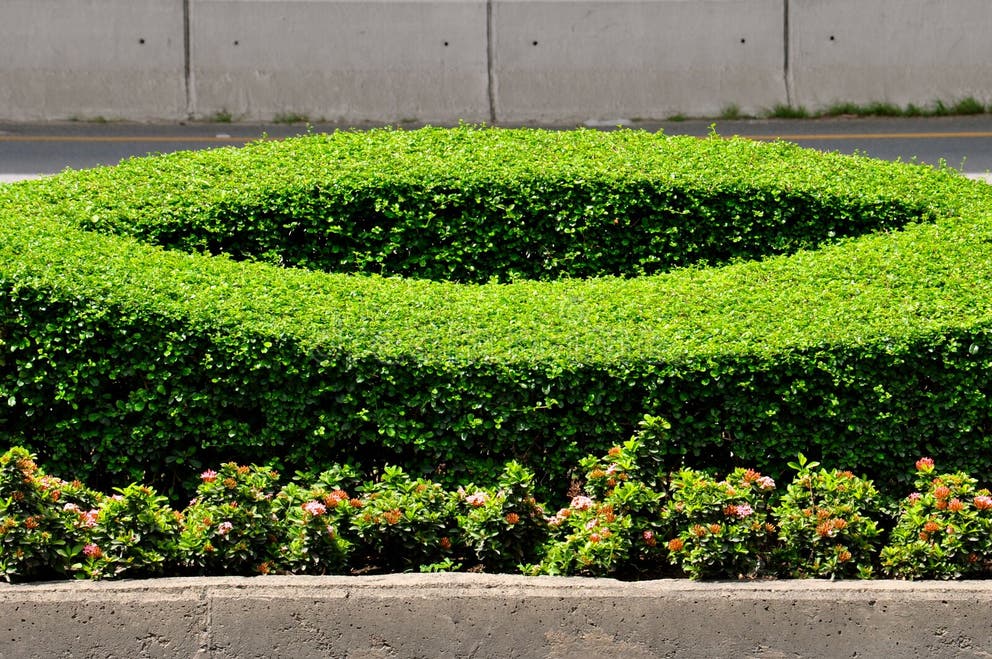 Manicured Hedges in Wave Shape Stock Image - Image of double, border ...