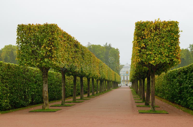 Manicured Trees in the Park. Stock Image - Image of lawn, sand: 77874913