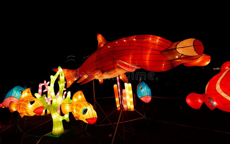 Manifestazione Della Lanterna Del Pesce Fotografia Stock - Immagine di ...