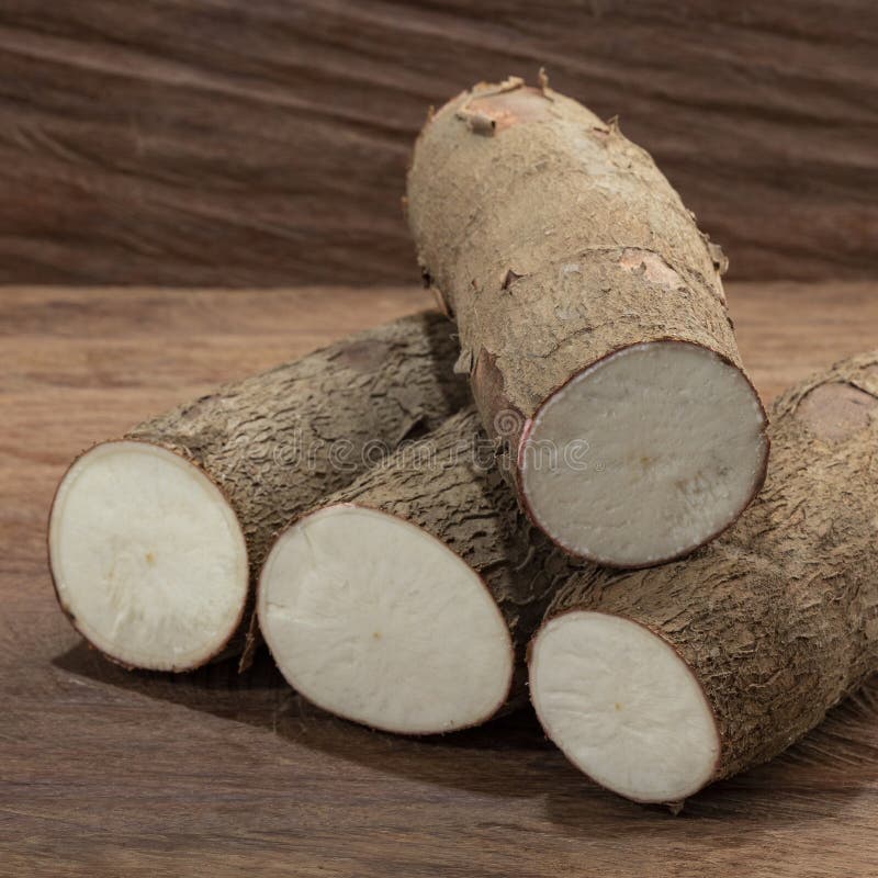 Manihot Esculenta - Fresh Organic Cassava Root Stock Image - Image of ...