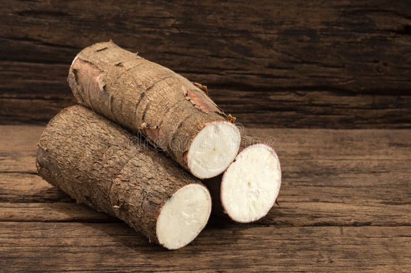 Manihot Esculenta - Fresh Organic Cassava Root Stock Image - Image of ...