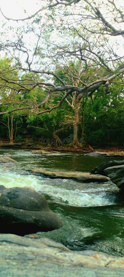 Manik River Sellankataragama Stock Photo - Image of sellankataragama ...