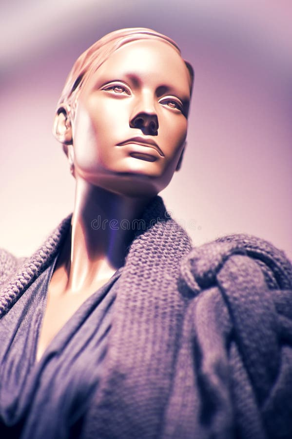 A manikin head stock image. Image of face, doll, fashion - 27151727