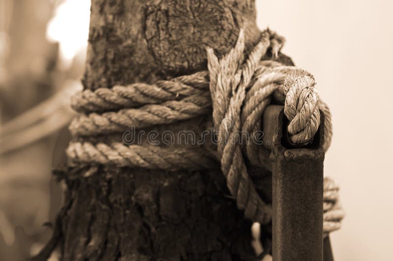 Rope Tied Around Tree Branch Stock Photos - Free & Royalty-Free Stock ...