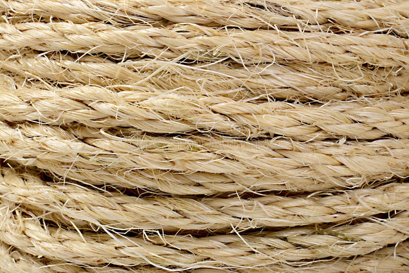 Manila rope stock photo. Image of bundle, texture, manila - 116020922