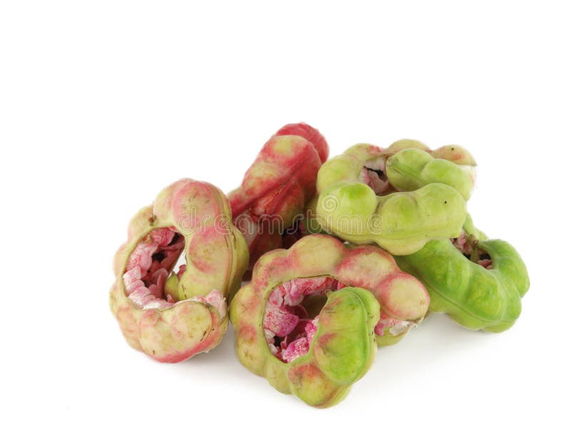 Manila tamarind stock photo. Image of juicy, fresh, delicious - 24989798