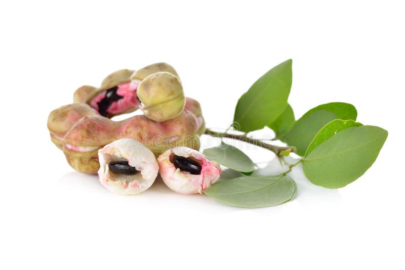 Manila Tamarind Fruit with Leaf on White Stock Photo - Image of healthy ...