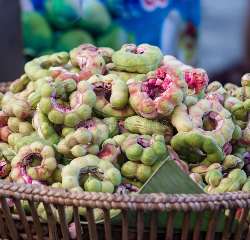 Manila Tamarind Fruit (Pithecellobium Dulce Benth.) Stock Image - Image ...