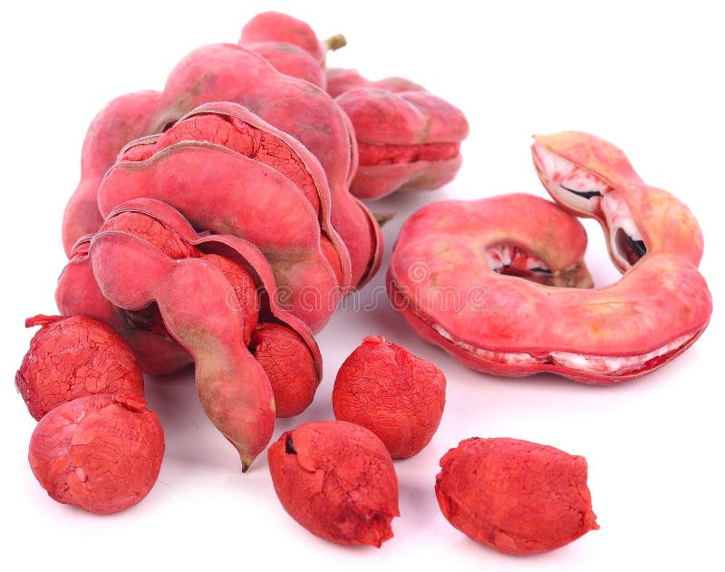 Manila Tamarind Isolated on White Background Stock Photo - Image of ...