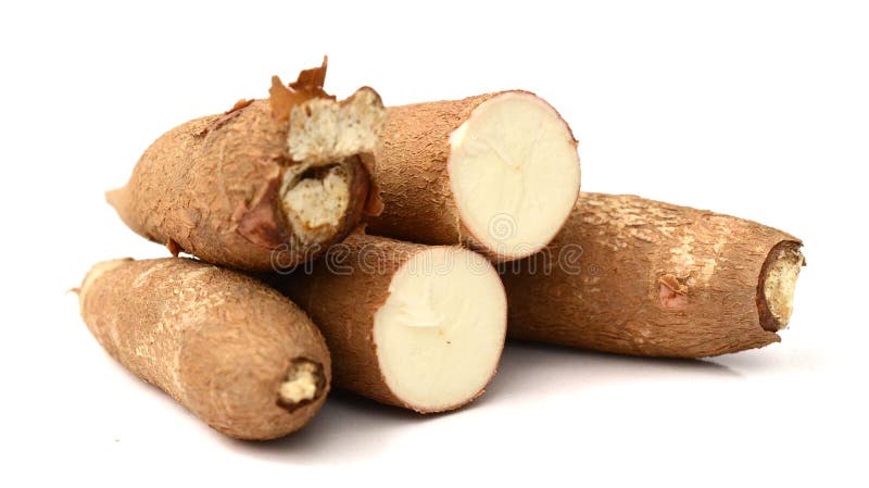 Racine De Manioc Ou De Manioc, D'isolement Photo stock - Image du ...