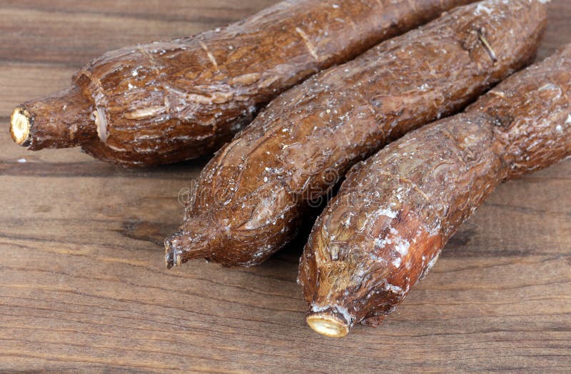 Fresh manioc root stock photo. Image of nature, background - 108700406