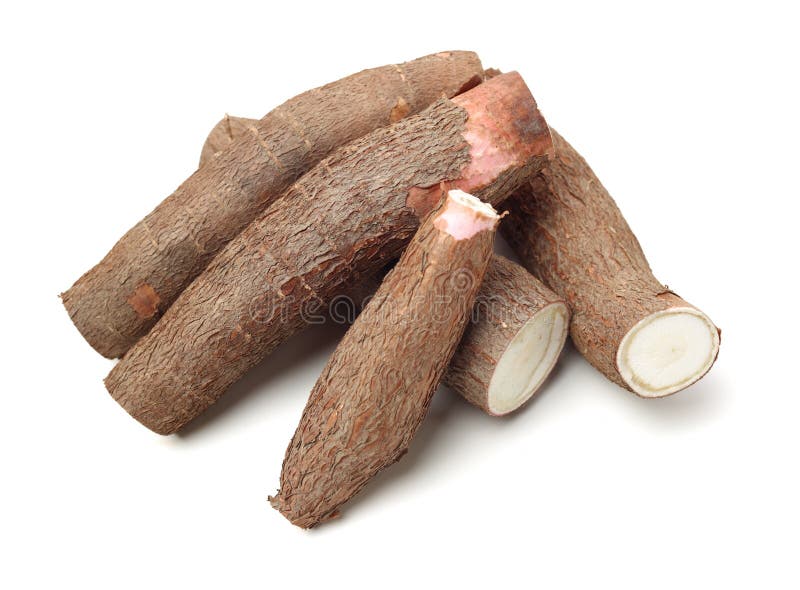 Manioc sur un fond blanc image stock. Image du légume - 145451553