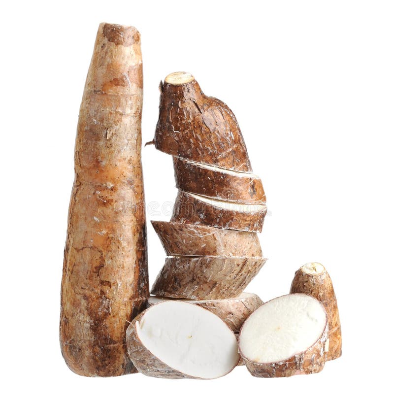 Maniok (yucca) stock afbeelding. Image of knollen, naughty - 32391299