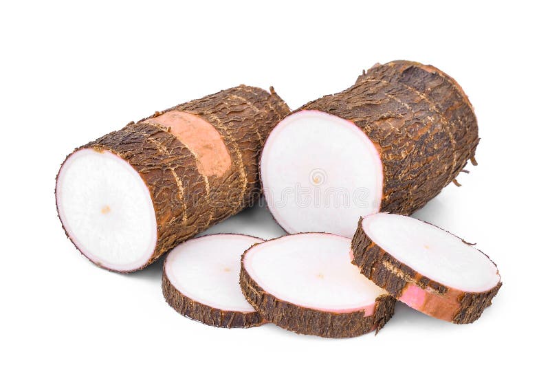 Manioka Lokalisiert Auf Einem Weiß Stockbild - Bild von gemüse, betrieb ...