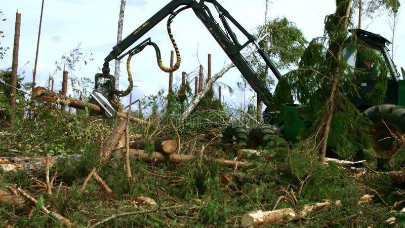 Industrial Claw Cranes Working at Vehicle Utilization Junkyard. Car ...