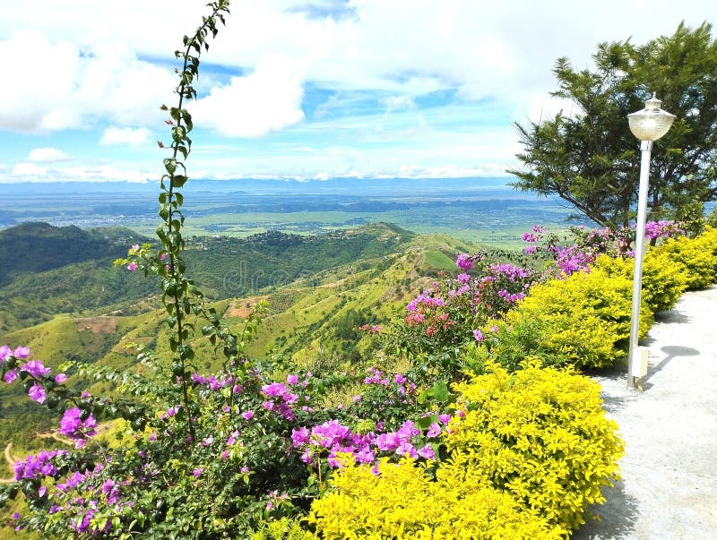 Manipur Top View Flower and Mountain Stock Image - Image of mountain ...