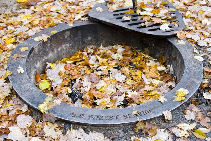 Manistee National Forest Fire Ring Stock Photo - Image of michigan ...