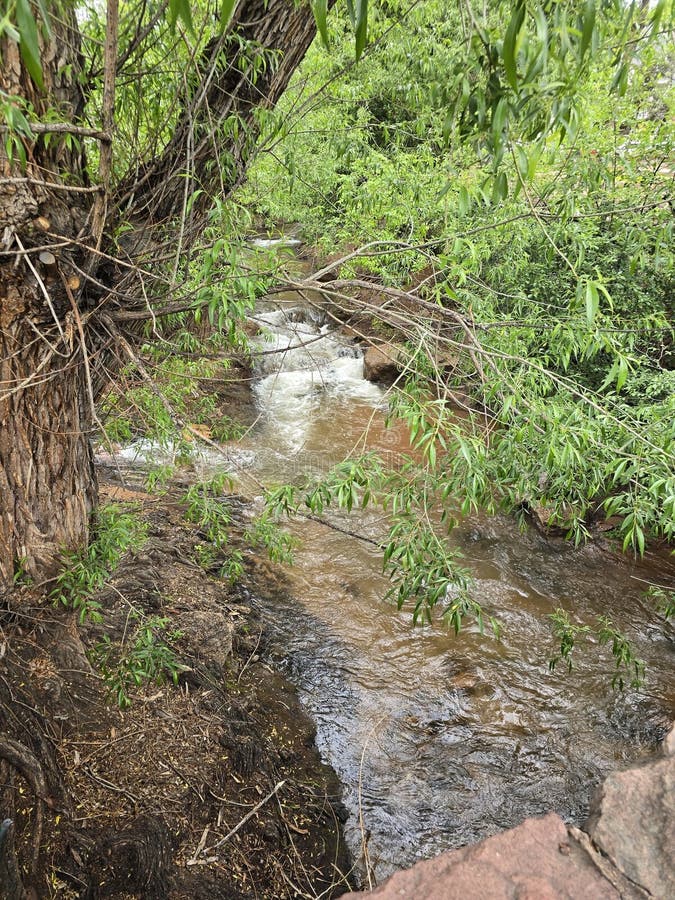 Manitou Springs Running Creek Bridge Stock Photo - Image of creek ...