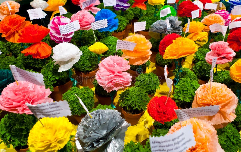 Manjerico Plants stock photo. Image of little, lisboa - 29697738