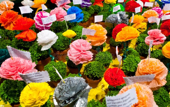 Manjerico Plants stock photo. Image of little, lisboa - 29697738