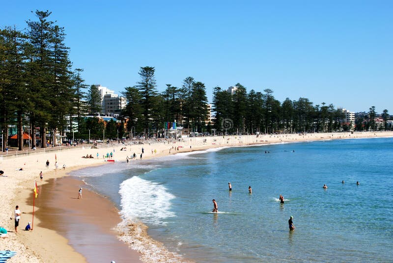 Manly Beach stock image. Image of office, harbor, australia - 3377529
