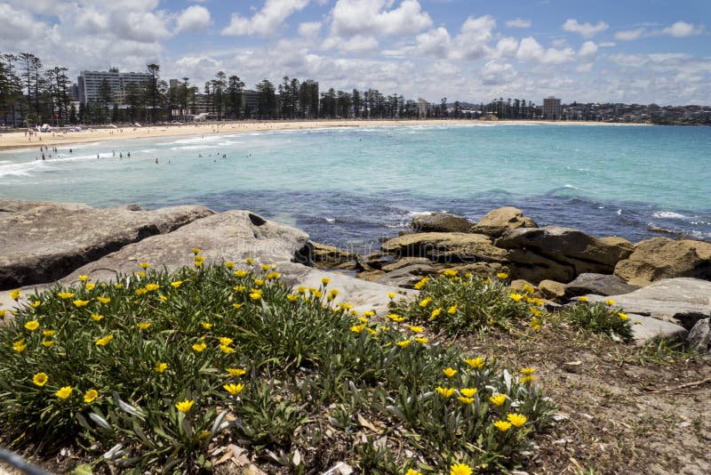Manly Cove beach Sydney editorial stock photo. Image of manly - 32862893