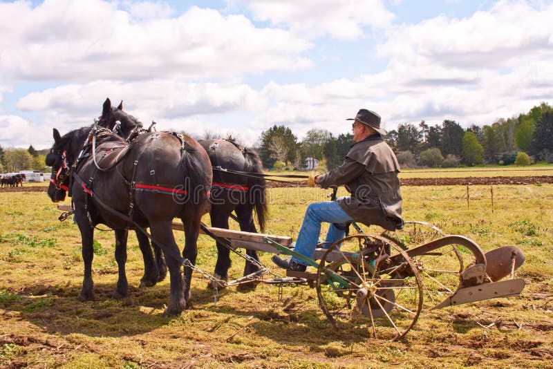 Bauer, Der Mit Pferd Und Pflug, Deutschland Pflügt Redaktionelles ...