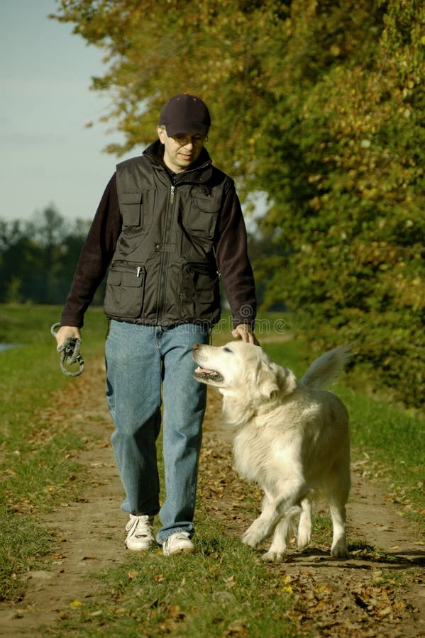 Mann, der mit Hund geht stockbild. Bild von begleitung - 3529375