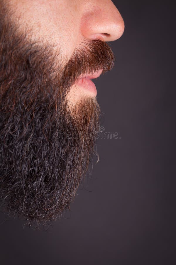 Mann mit Bart stockbild. Bild von lang, sonderkommando - 41003923