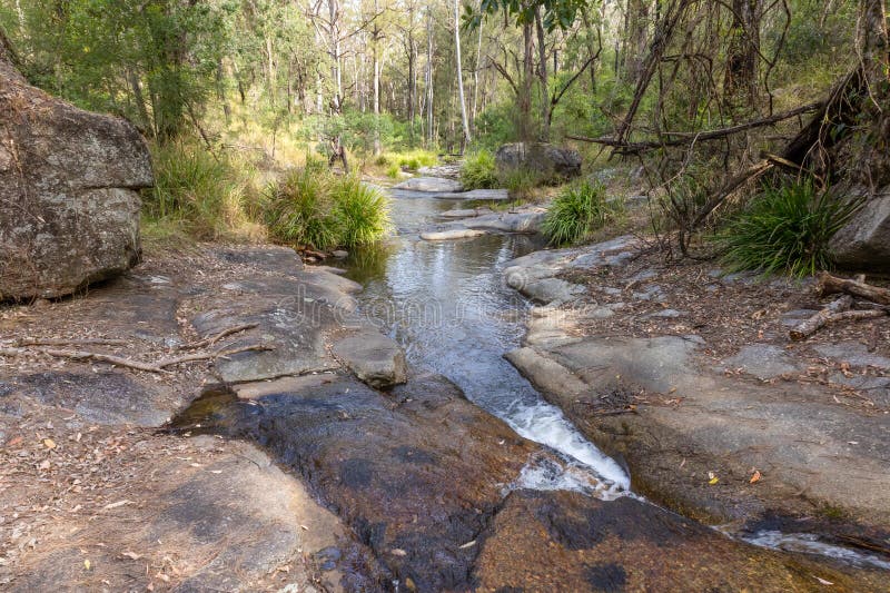 The Mann River Flowing Over a Granite Rock Bed and through Eucalypt ...