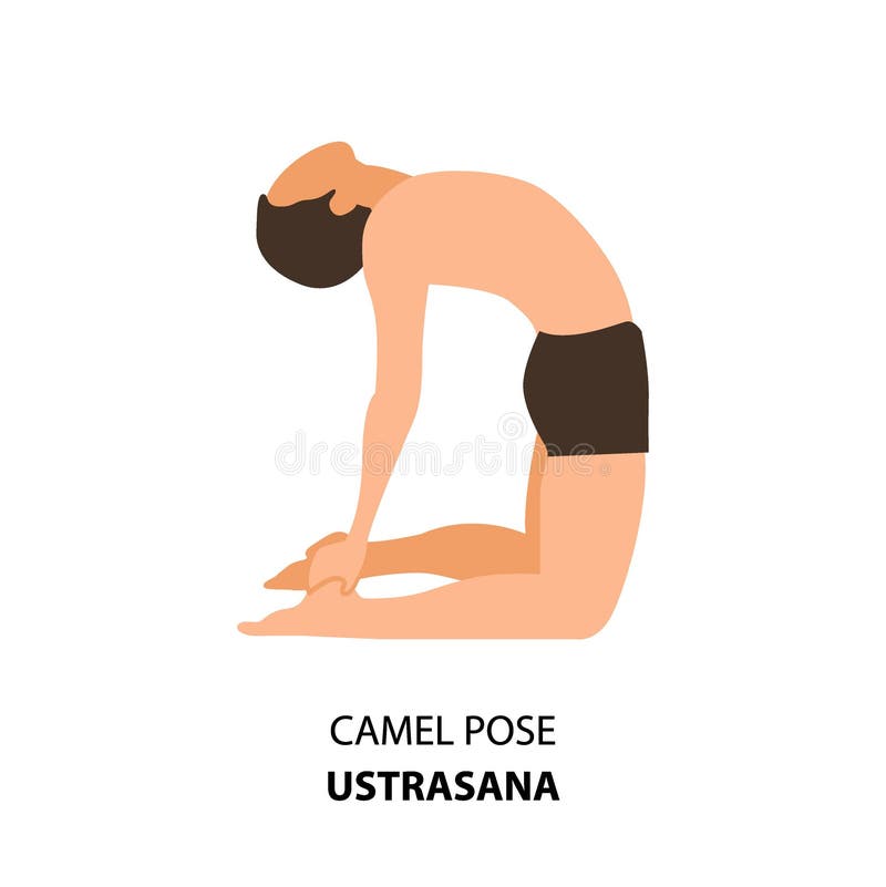 Mann, Der Eine Yogamikposition Oder Einen Ustrasana-Vektor Macht Vektor ... Mann, Der Eine Yogamikposition Oder Einen Ustrasana-Vektor Macht Vektor ...