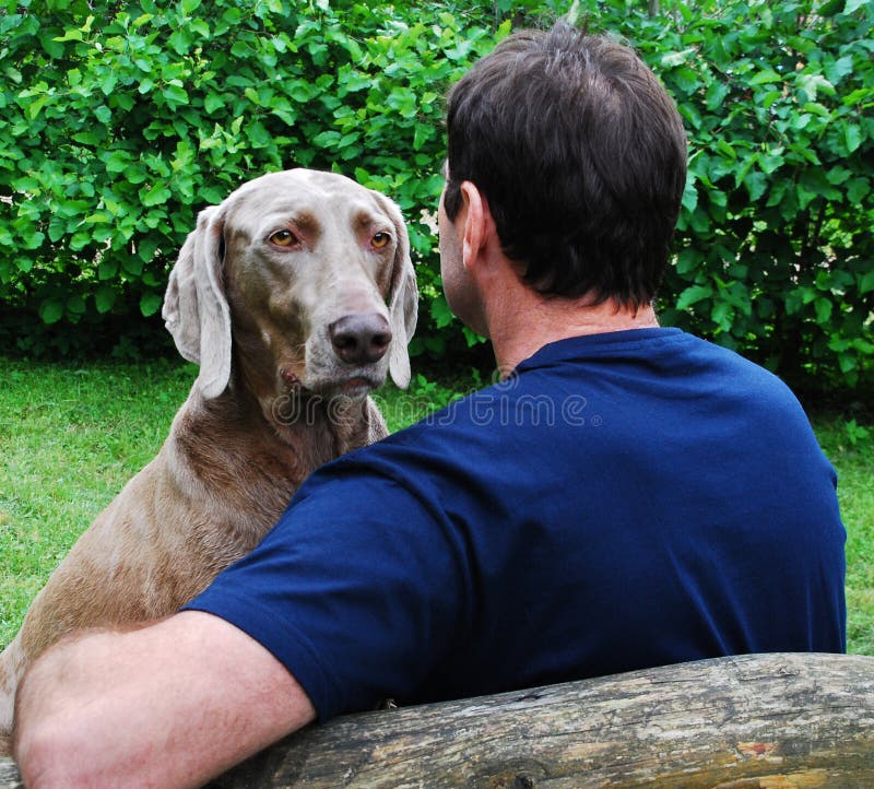 Junger Mann Und Hund Bild. Bild: 1594380